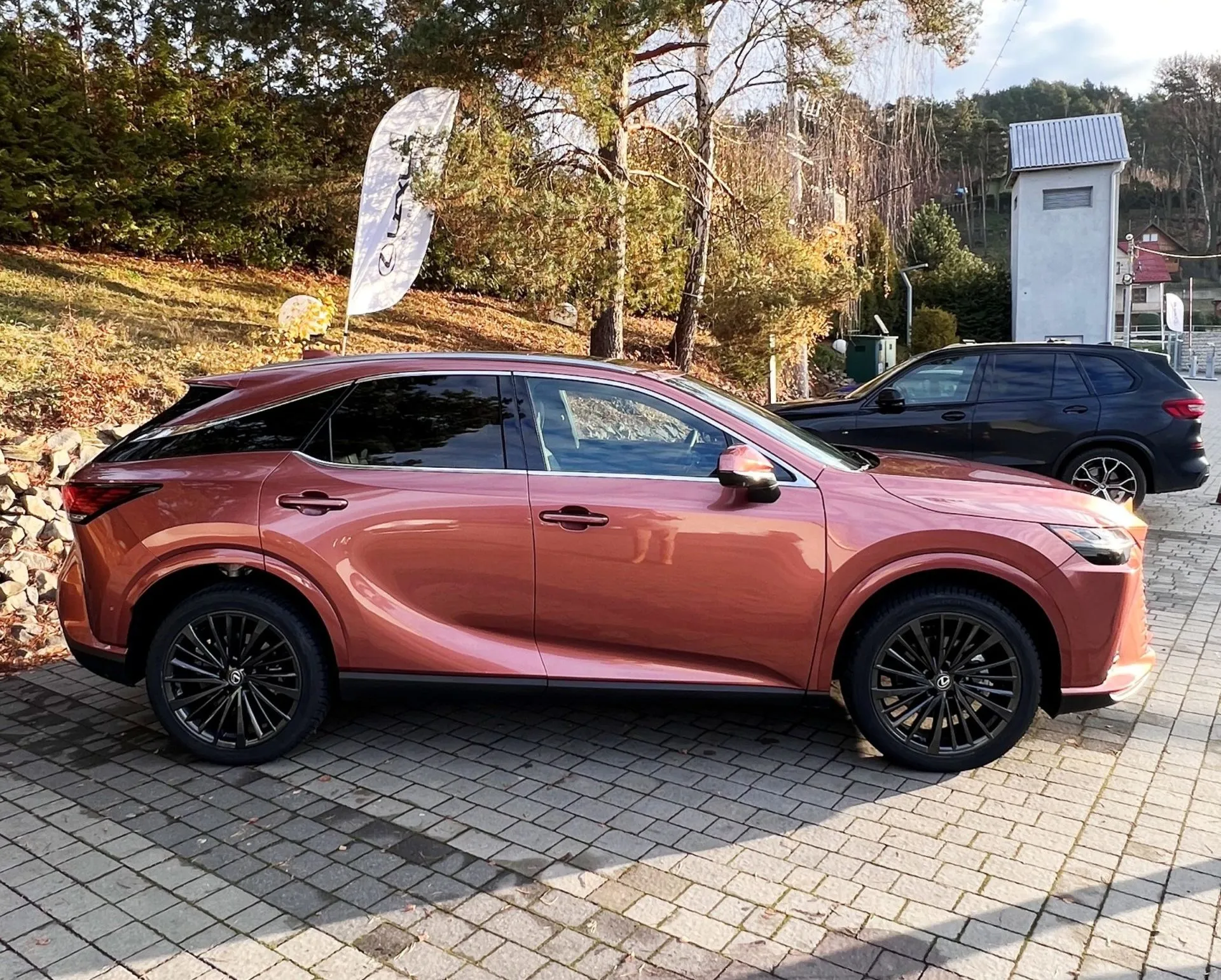 Nowy Lexus RX Dosta Szalony Kolor Wygl da Jak R owa Sukienka Po Nowy Lexus RX Dosta Szalony Kolor Wygl da Jak R owa Sukienka Po
