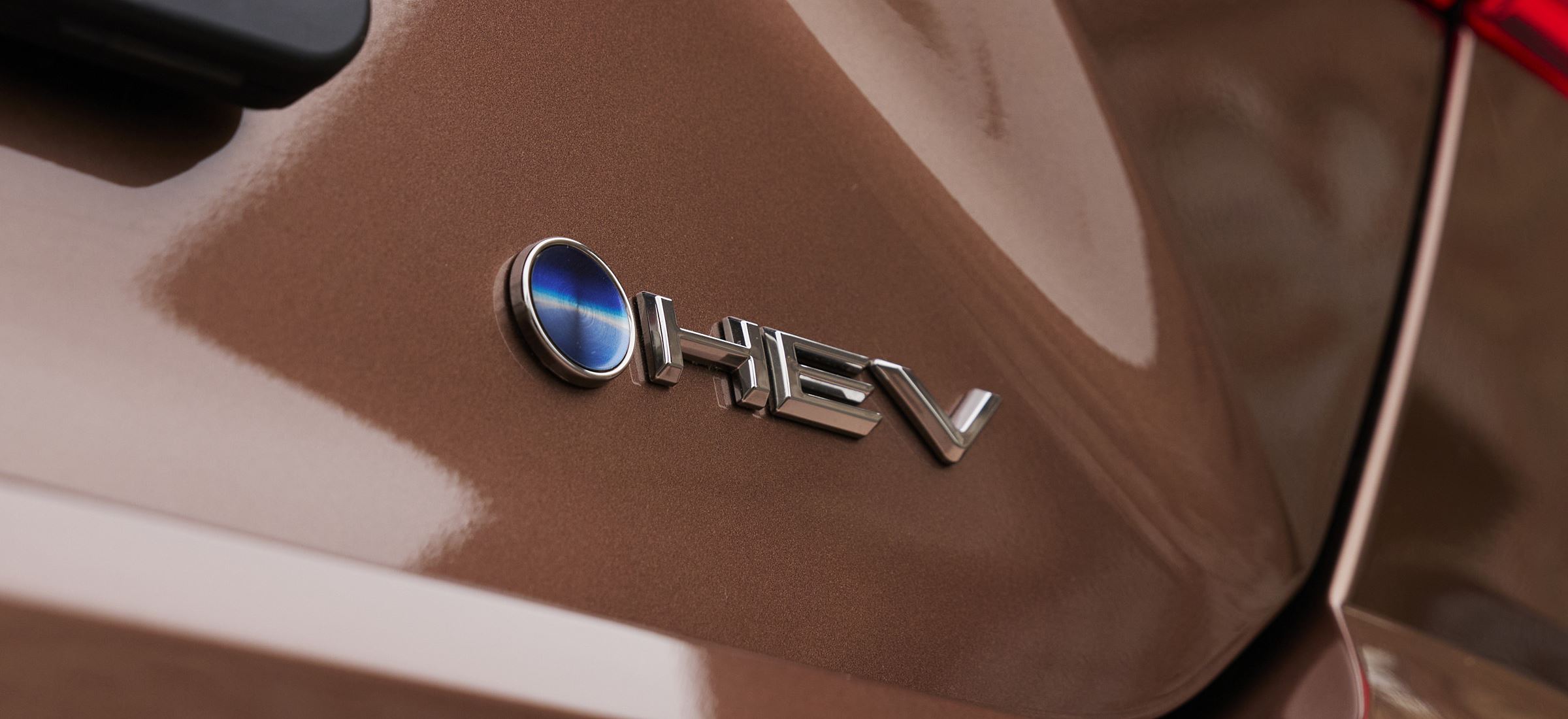 Z HEV i BEV sobie radzą. Na MHEV ich przytyka, a na EREV wykładają się ...